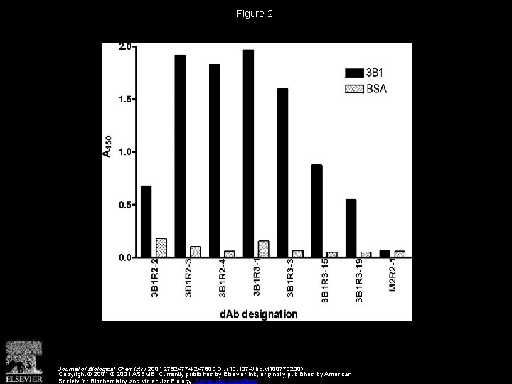 Optimal Design Features of Camelized Human Singledomain Antibody