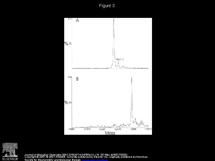 Optimal Design Features of Camelized Human Singledomain Antibody