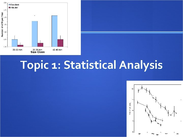 Topic 1 Statistical Analysis WarmUp 1 What is
