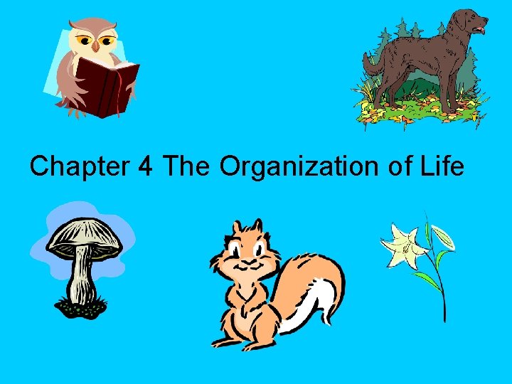 Chapter 4 The Organization of Life Section 1