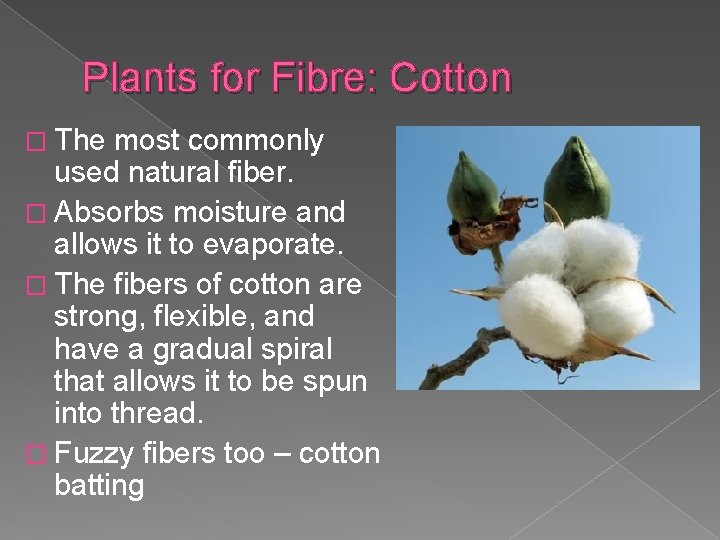 Plants for Food and Fibre Unit 2 Science