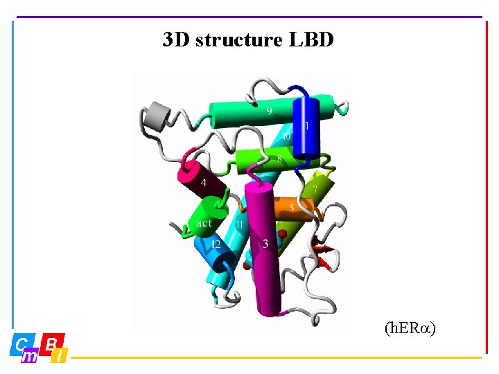 Nuclear receptor ligandbinding domains looked at from all
