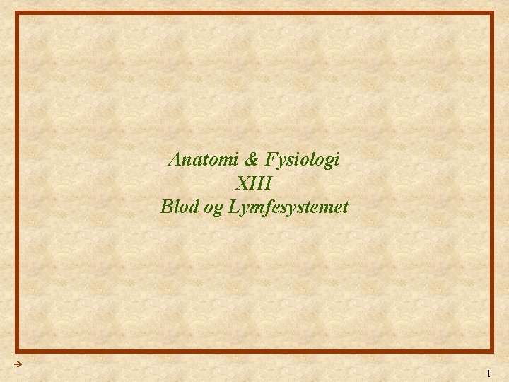 Anatomi Fysiologi XIII Blod og Lymfesystemet 1 Anatomi