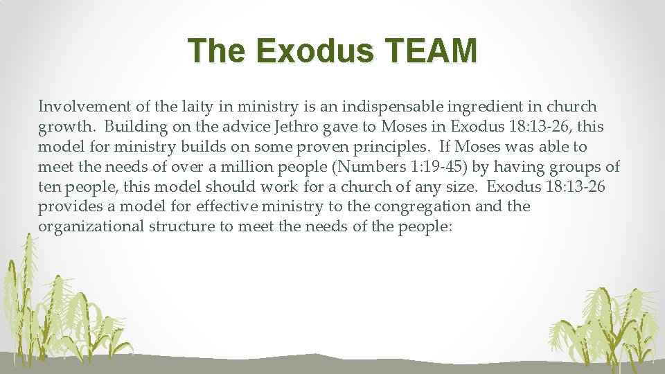 The Exodus TEAM A Biblical Model for Church