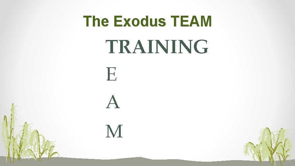 The Exodus TEAM A Biblical Model for Church