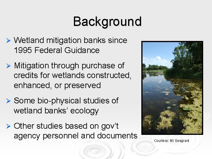 WHAT THE NATIONS BANKERS THINK ABOUT WETLAND MITIGATION