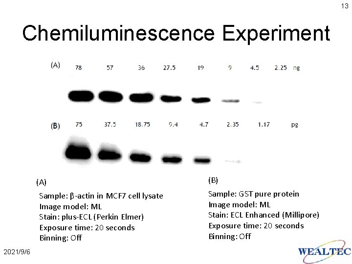 1 KETA series Imaging System Chemiluminescence C Gel