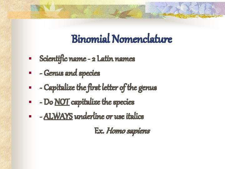 Scientific Classification Taxonomy SOL BIO 7 ae SOL