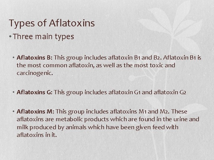 XENOBIOTICS AFLATOXINS By Sheila Mulhern Aflatoxins A naturally