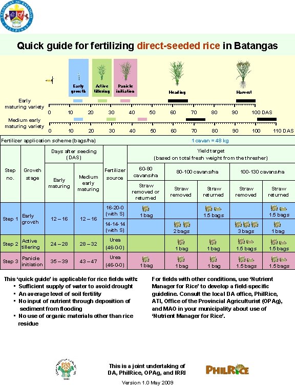 Quick guide for fertilizing directseeded rice in Batangas