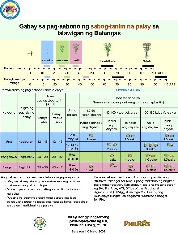 Quick guide for fertilizing directseeded rice in Batangas