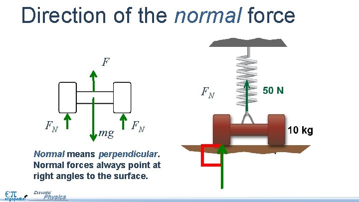 Freebody diagrams Weight vs mass Mass is an