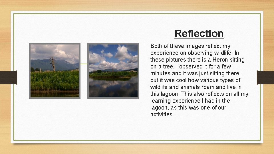 Blakeburn Lagoon Reflection By Eric Stad Reflection Both