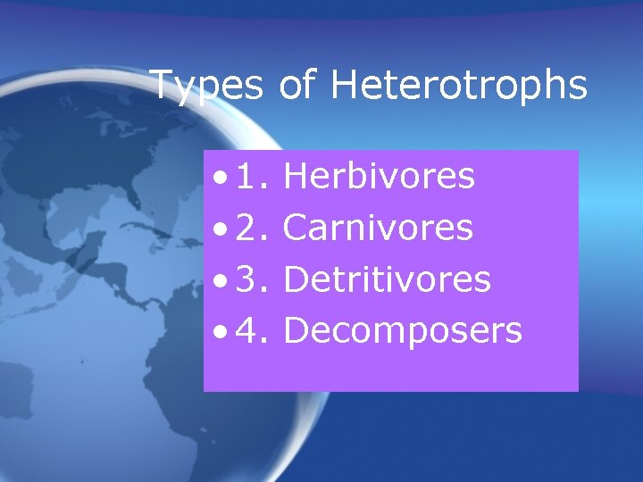 Chapter 3 The Biosphere Section 3 2 Energy