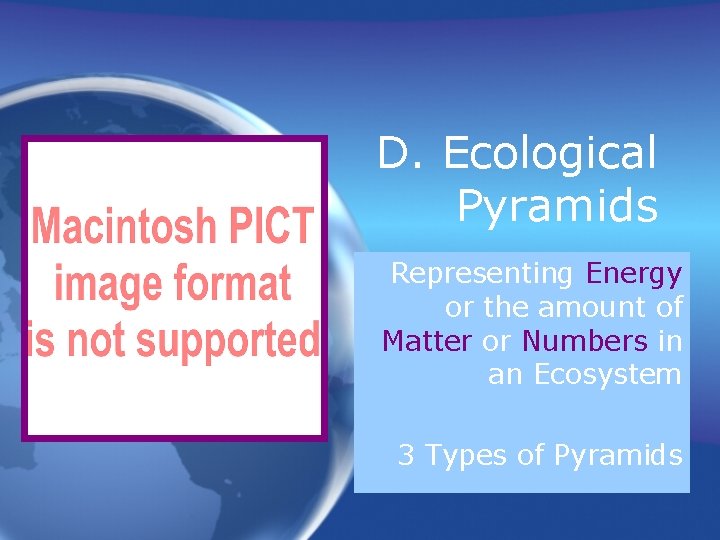 Chapter 3 The Biosphere Section 3 2 Energy