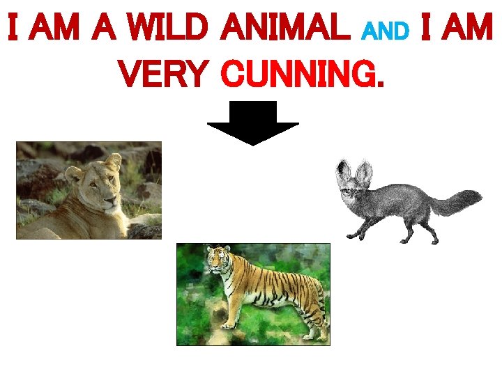 ANIMALS EXERCISES Prepared by Erkan ERCOKUN I AM