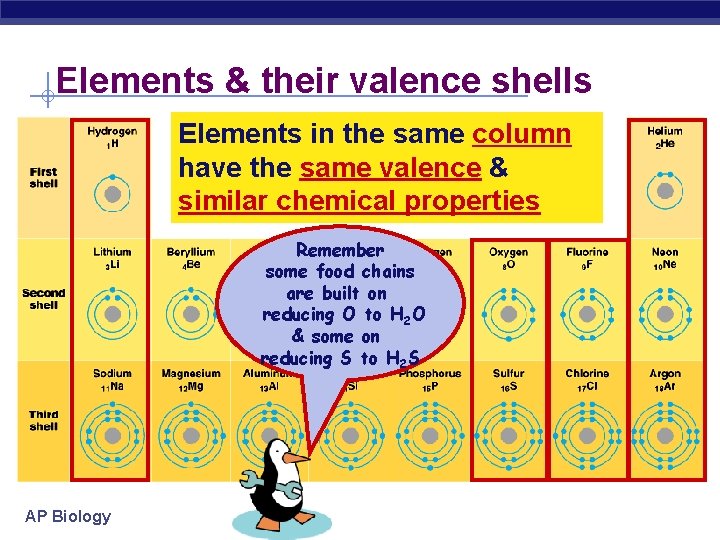 The Chemistry of Life AP Biology 2009 2010