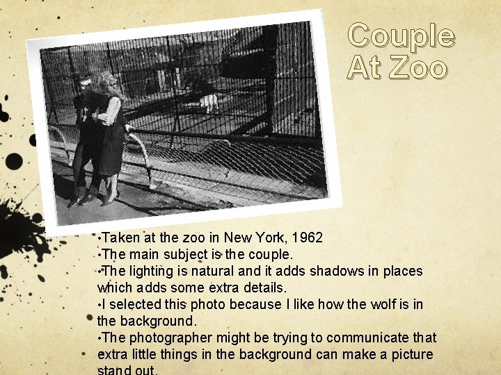 Garry Winogrand Alyssa Babb Per 4 Biography Born