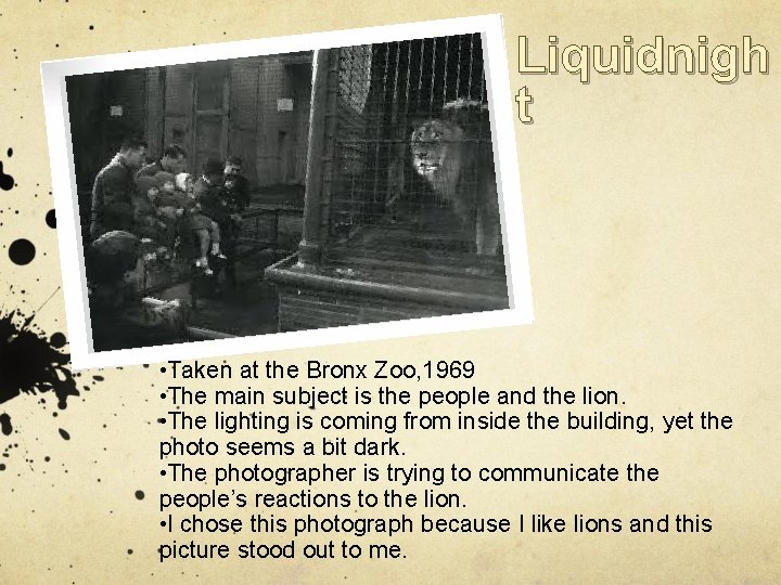 Garry Winogrand Alyssa Babb Per 4 Biography Born