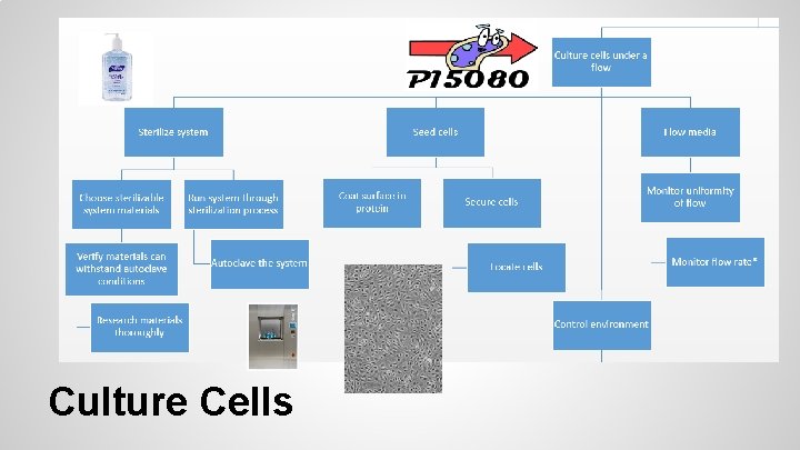 Flow Culture System MultiDisciplinary Senior Design System Design
