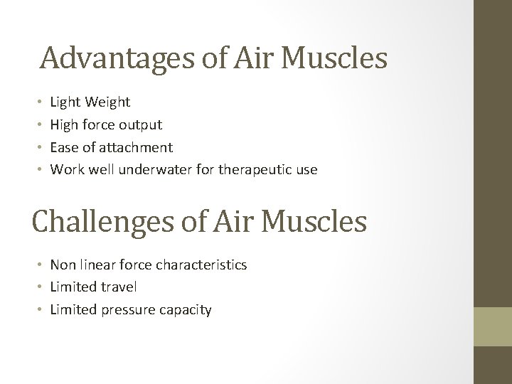 P 13001 Active Ankle Foot Orthotic Air Muscle