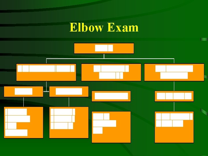 Brace Yourself Physical Exam Functional Testing and Bracing