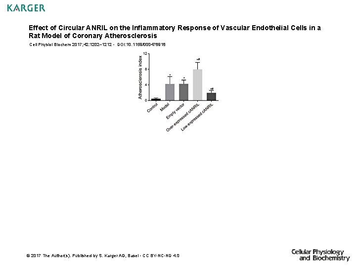 Effect of Circular ANRIL on the Inflammatory Response