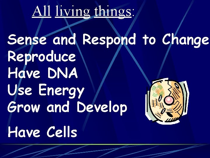 Characteristics of Living Things All living things Sense