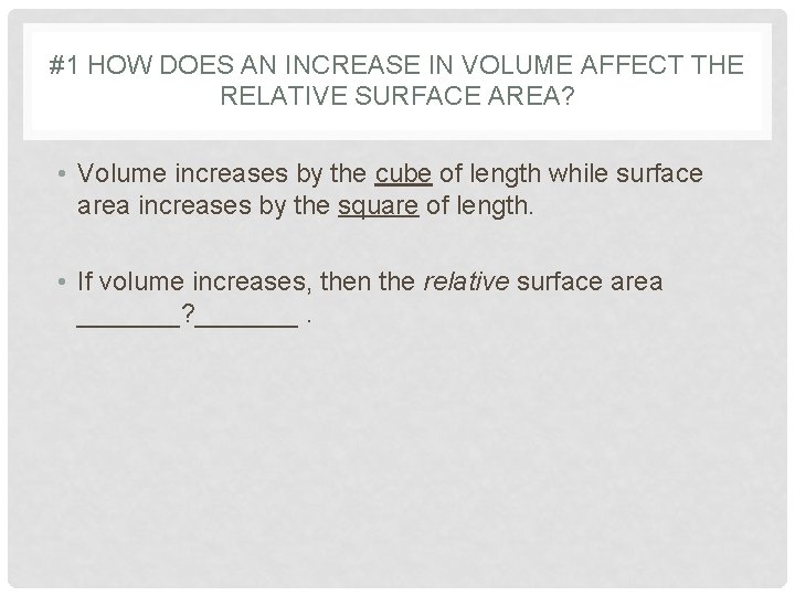 SIZE AND SHAPE BY STEPHEN JAY GOULD 1