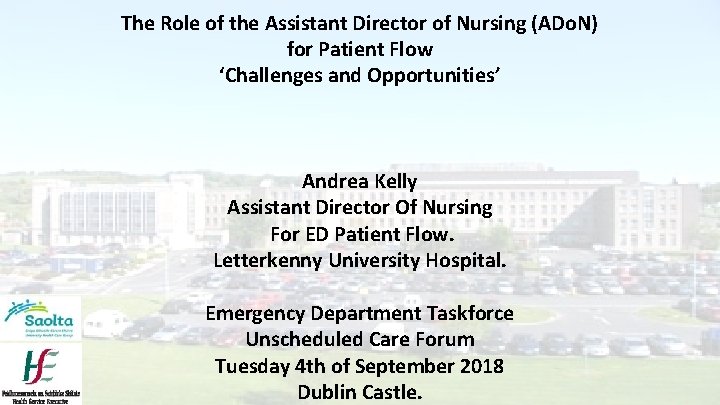 The Role of the Assistant Director of Nursing