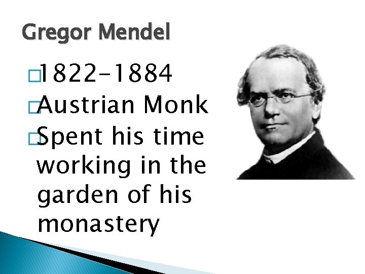 Genetics Gregor Mendel 1822 1884 Austrian Monk Spent