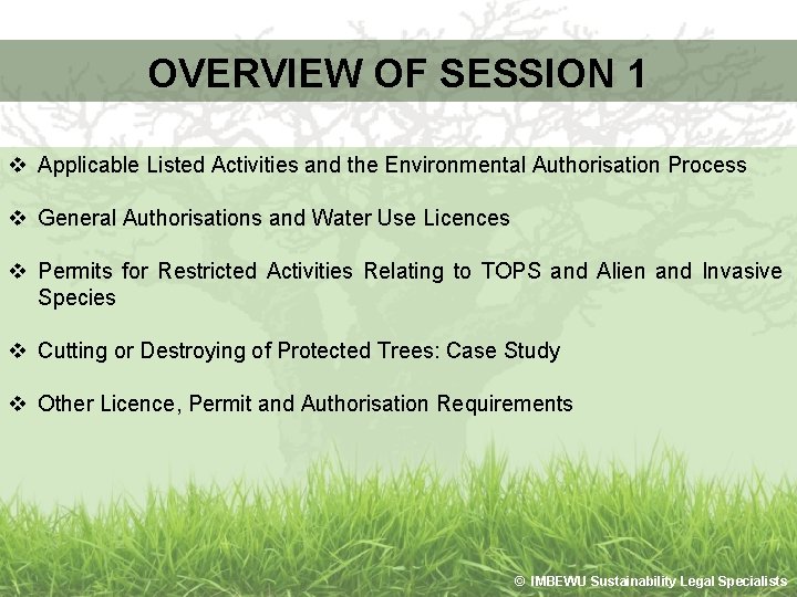 RENEWABLE ENERGY ONLINE WORKSHOP Presented by Alistair Young