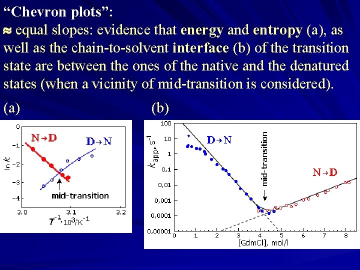 PROTEIN PHYSICS LECTURE 20 Protein Structures Kinetic Aspects