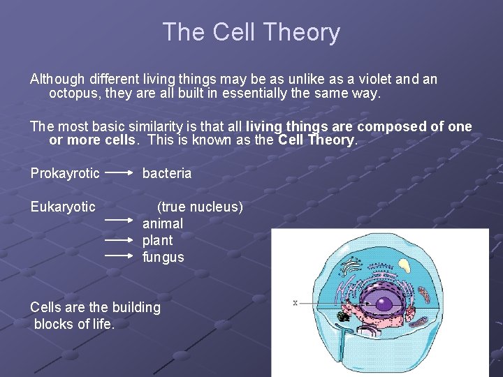 Introducing Cells Cell Theory Microscopy Cell organelles Cell