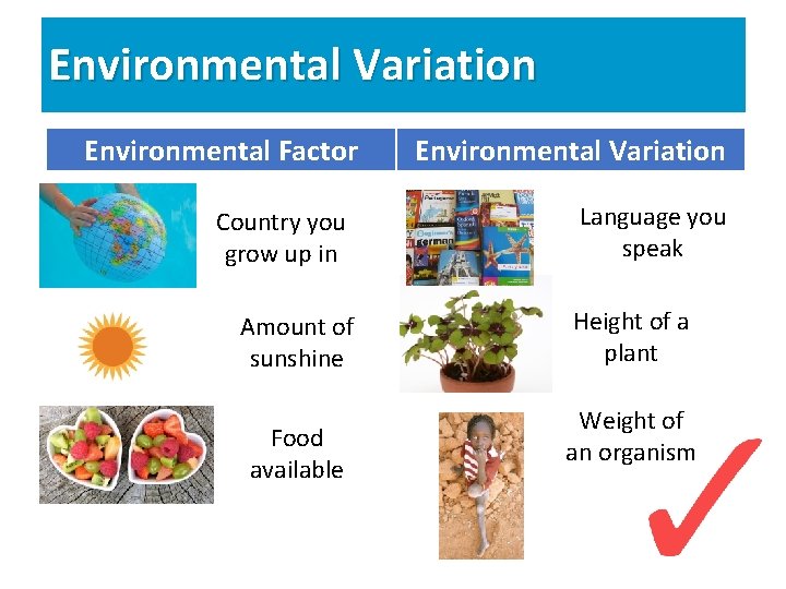 Variation Progress indicators Good progress Classify characteristics as