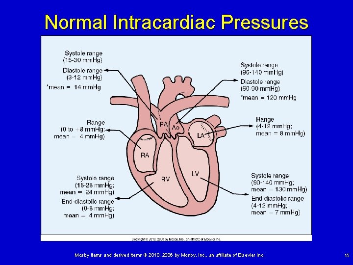 Chapter 29 Structure and Function of the Cardiovascular