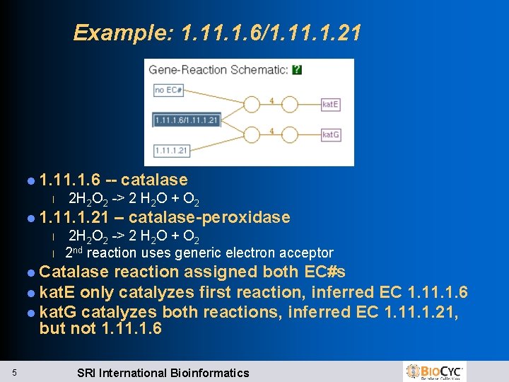 Expanded Representation of EC Numbers in Pathway Tools