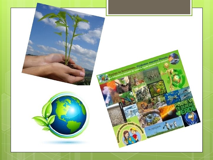 Ecologa de poblacin Que es Ecologa Ecologa es