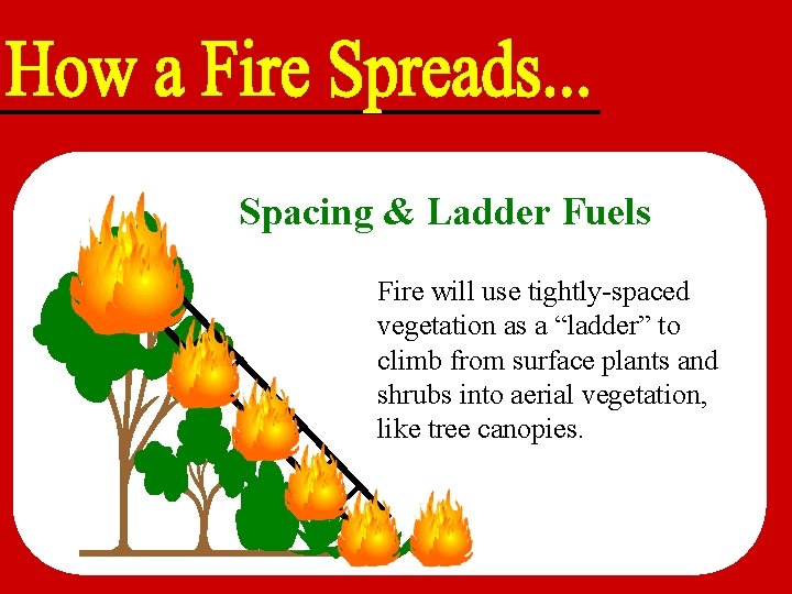 Part A The Fire Behavior and the WildlandFire