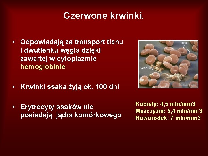 KREW BUDOWA I FUNKCJE HONOROWE KRWIODAWSTWO TKANKI ZWIERZCE