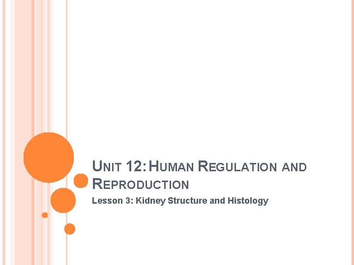 UNIT 12 HUMAN REGULATION AND REPRODUCTION Lesson 3