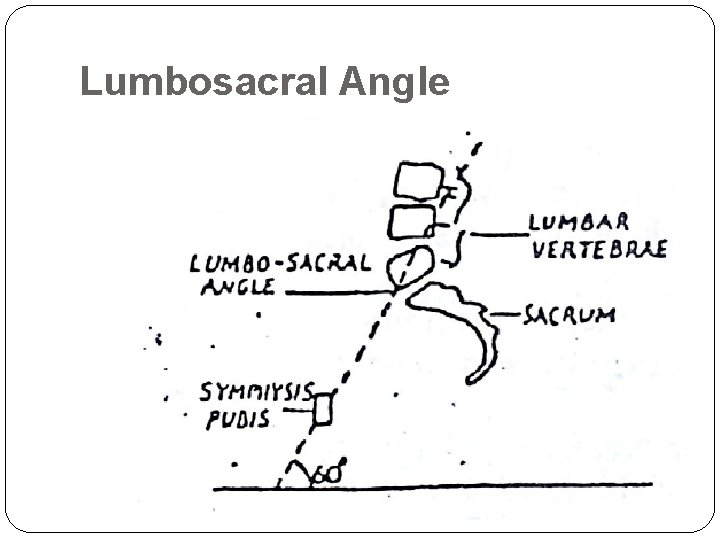 Pelvic tilt Dr Atif Malik objectives What is