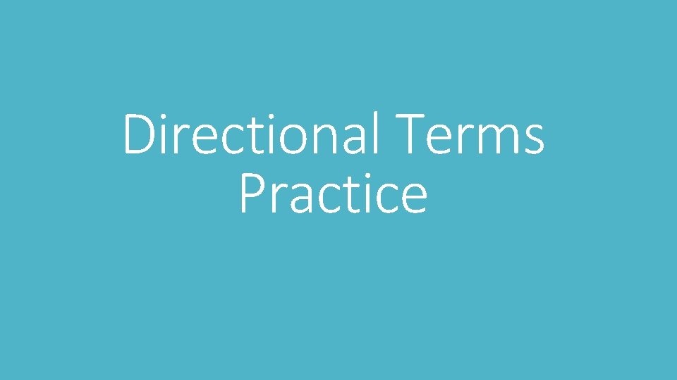 Directional Terms Practice The Language of Anatomy 1