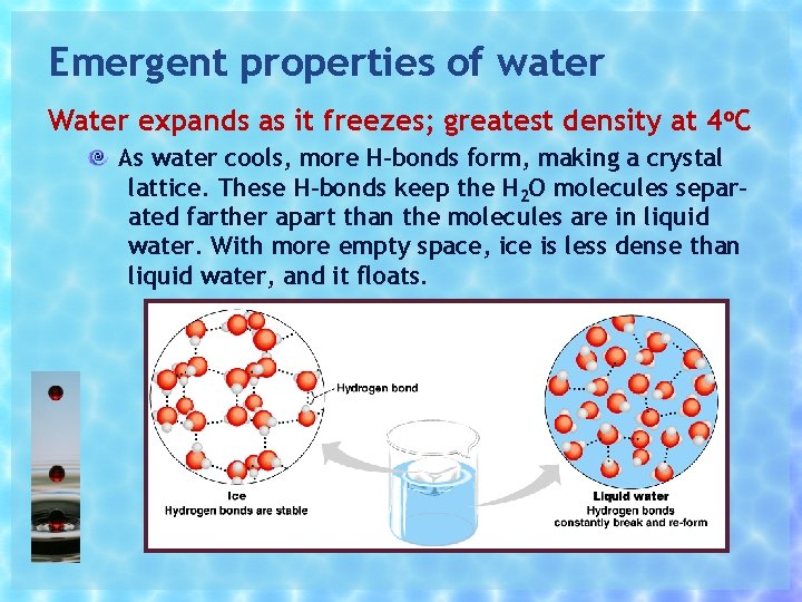 Properties of Water Objectives 3 1 4 Draw
