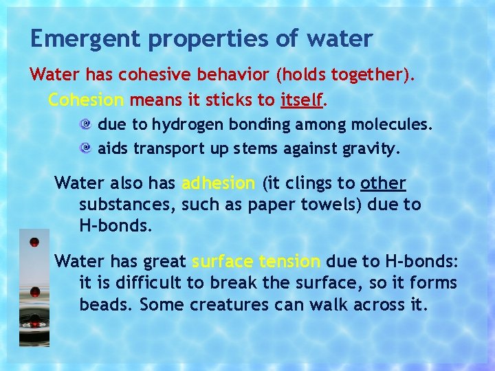 Properties of Water Objectives 3 1 4 Draw