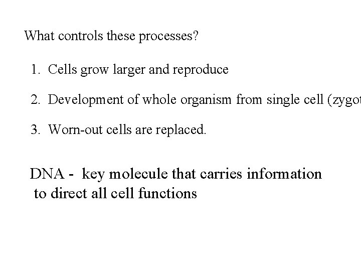 1 Cells grow larger and reproduce 2 Development