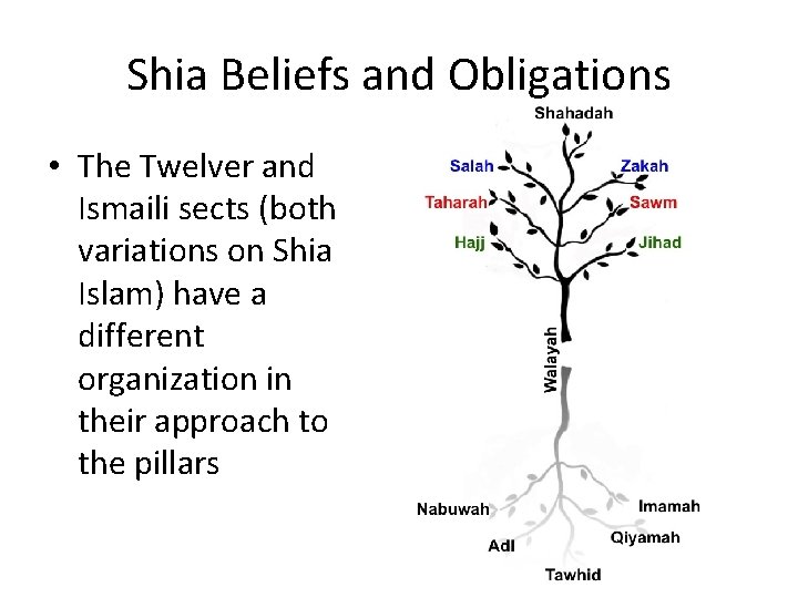The Pillars of Islam Fundamental Beliefs in Islam