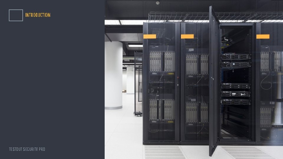 INTRODUCTION TESTOUT SECURITY PRO Read simulated component documentation