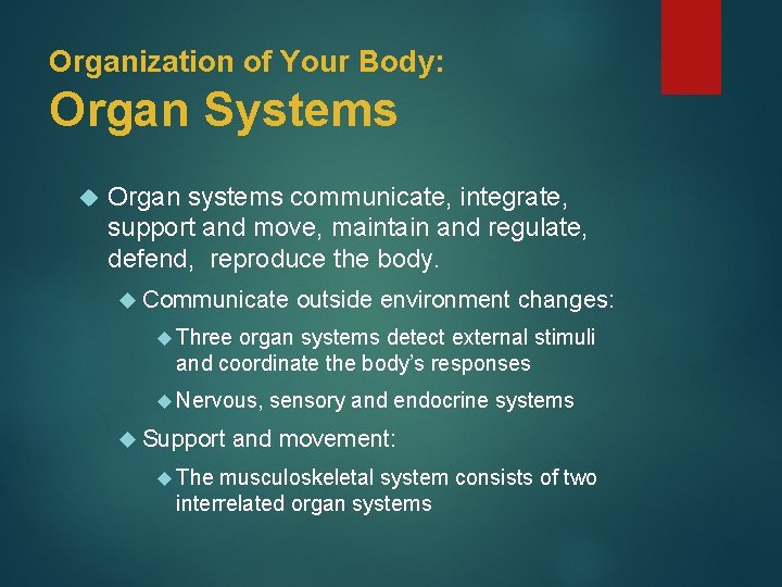 Tissues Organs Systems ANATOMY PHYSIOLOGY HONORS TURNER COLLEGE
