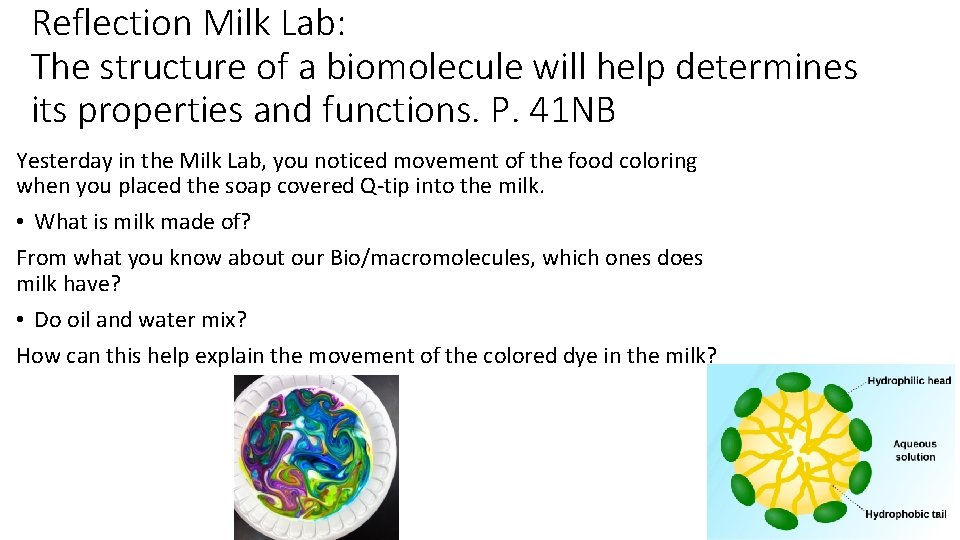 Color Changing Milk Lab pg 39 in NB